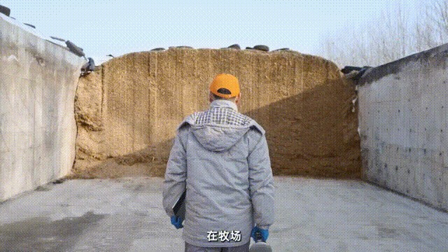 NeoSpectra News | Advancing Dairy Nutrition: NeoSpectra & Cargill's Cloud-Based NIR Solution